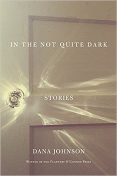 Shining short fiction collections by Dana Johnson and Anne Raeff – Los ...
